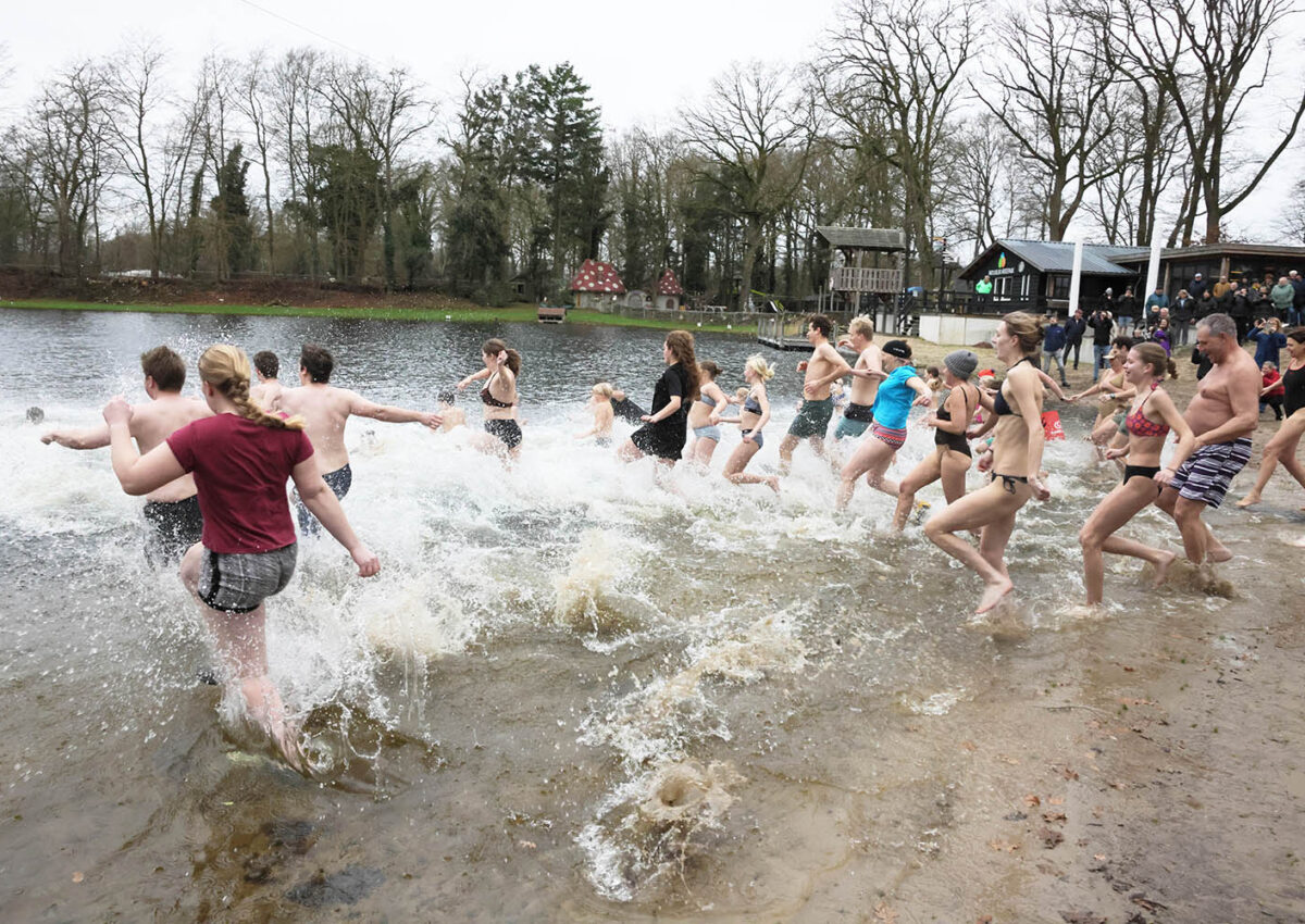 Homepage – Team Sukerbiet