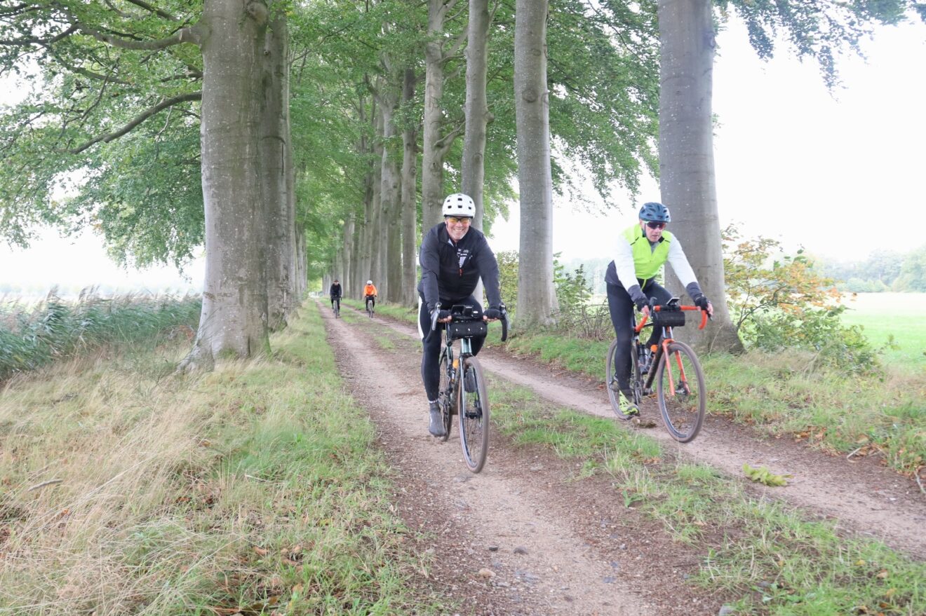 Homepage – Team Sukerbiet